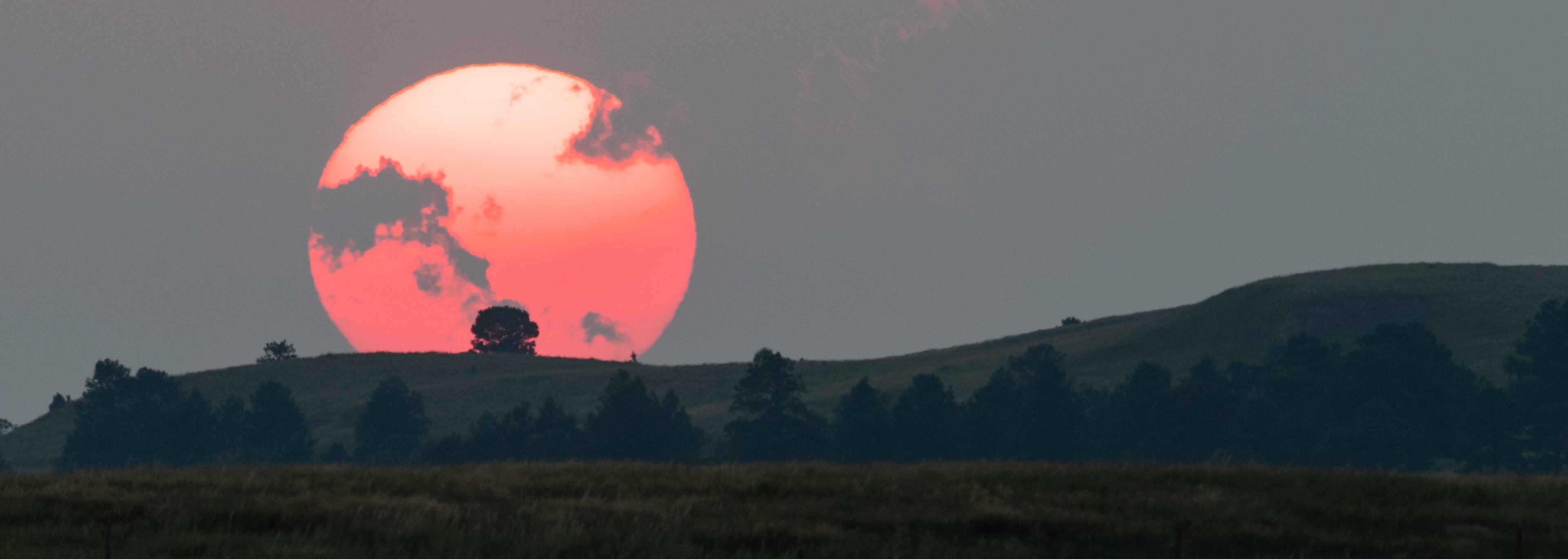 Moon & Sun