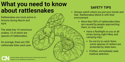 How to stay safe from rattlesnakes, other venomous snakes | Cronkite News