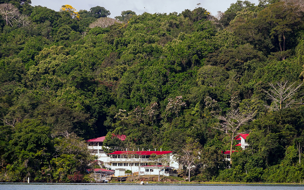 Smithsonian Tropical Research Institute breaks political barriers in Panama